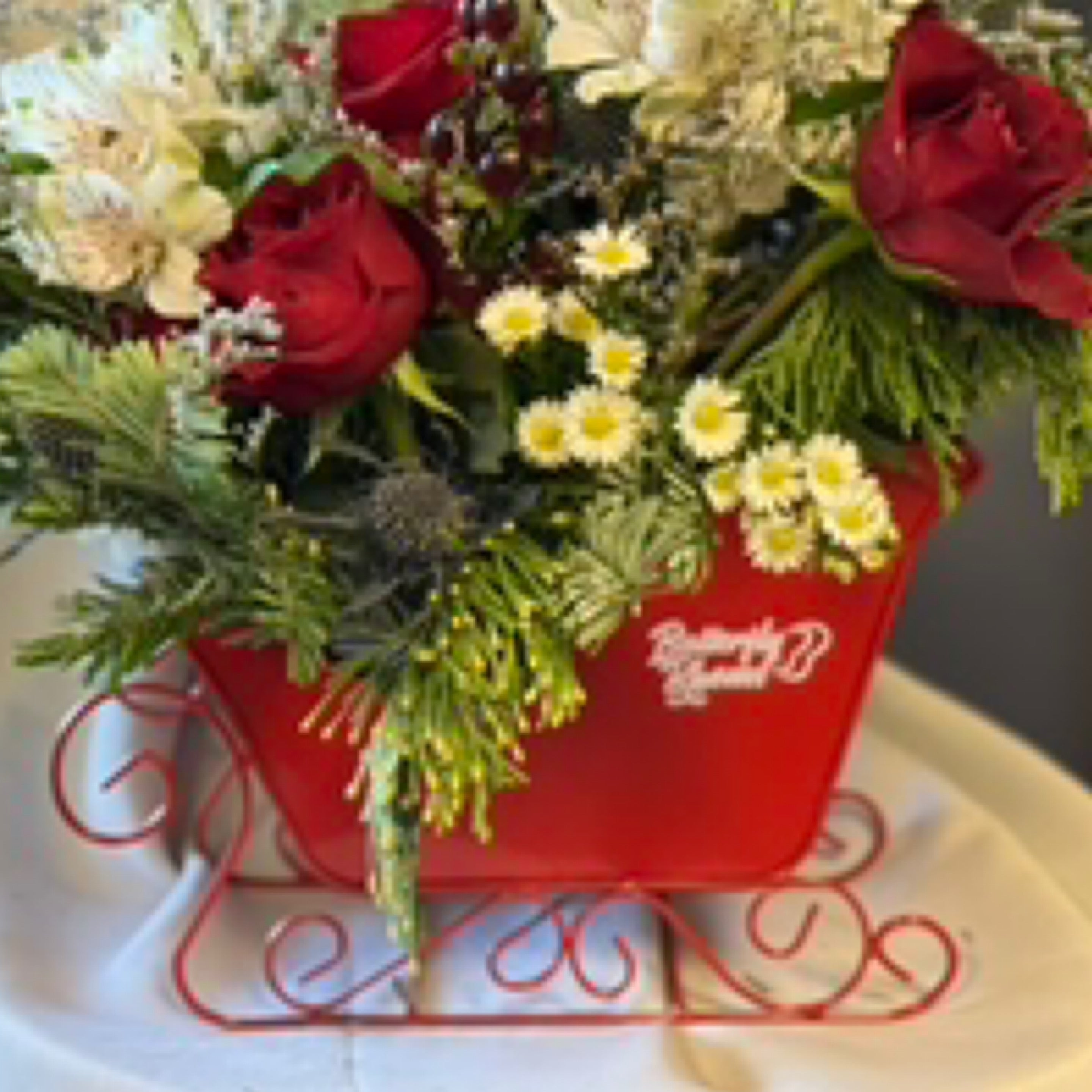 Red Winter Sleigh | Butterfly Blooms